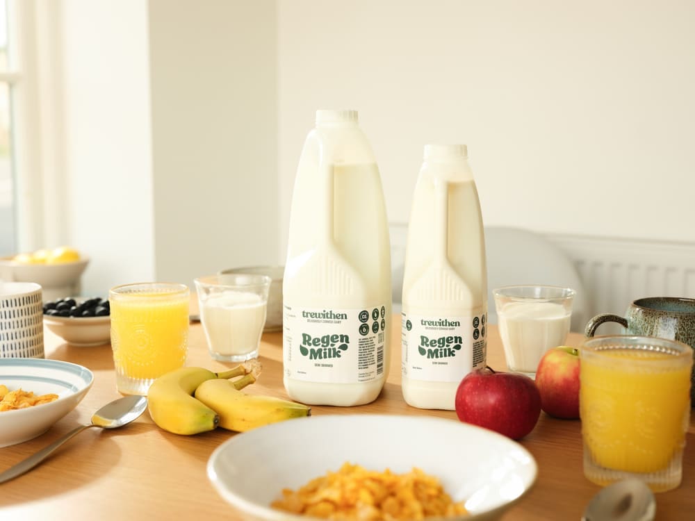 Fresh & Creamy Cornish Milk - Trewithen Dairy