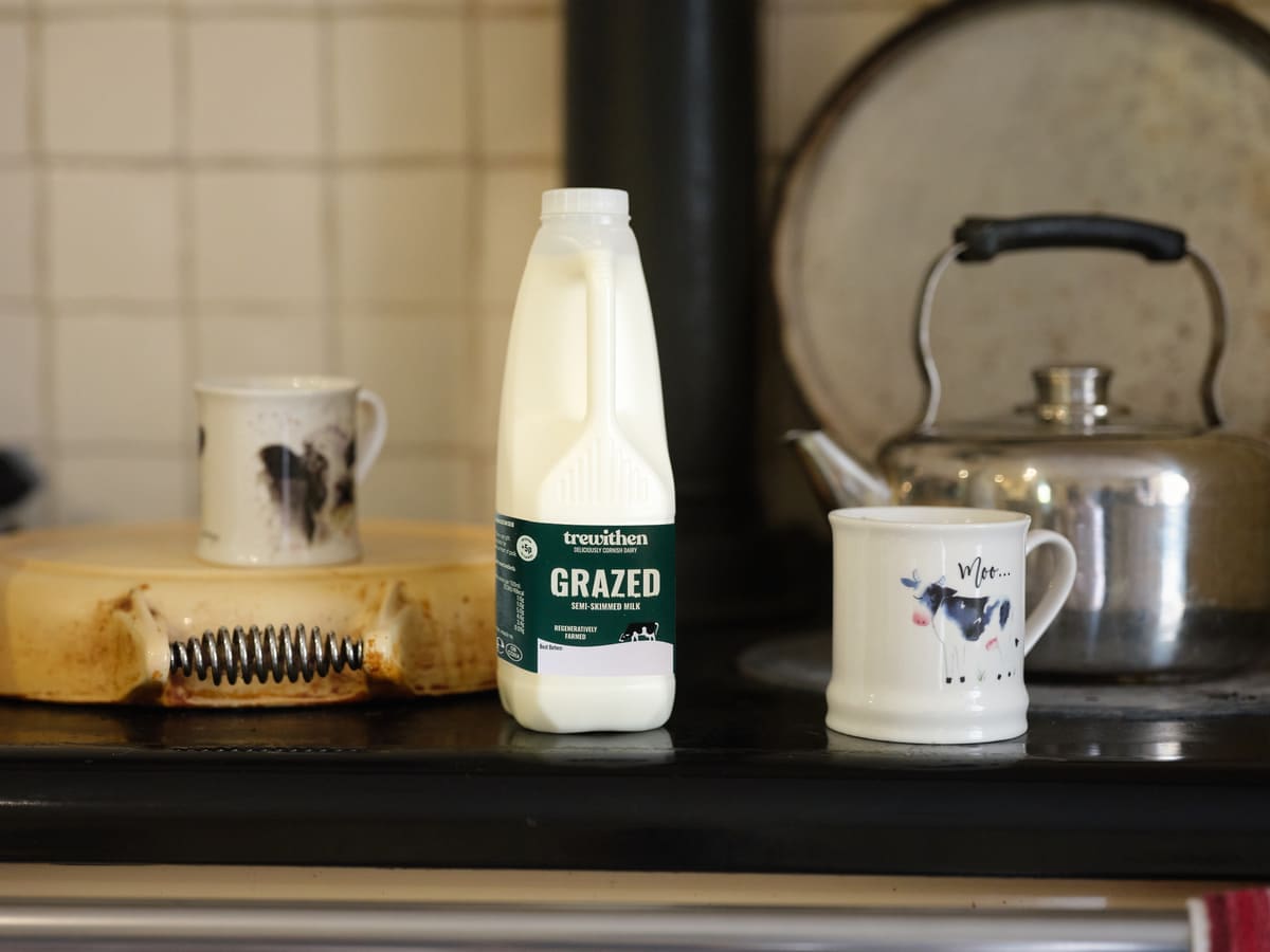 Trewithen Grazed Grass Fed Milk - Cornish Dairy | Trewithen Dairy